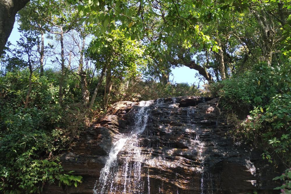 Shanti Falls Chikkamagaluru Tickets, timings, offers Apr 2026 | ExploreBees
