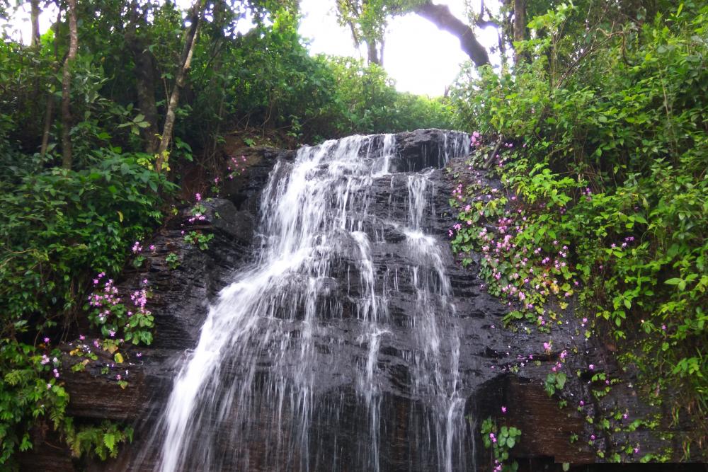 Shanti Falls Chikkamagaluru Tickets, timings, offers Jun 2026 | ExploreBees