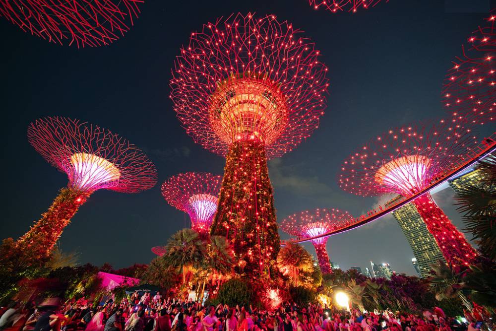 SUPERTREE GROVE in Gardens by the Bay (July 2024) Timings,Tickets ...