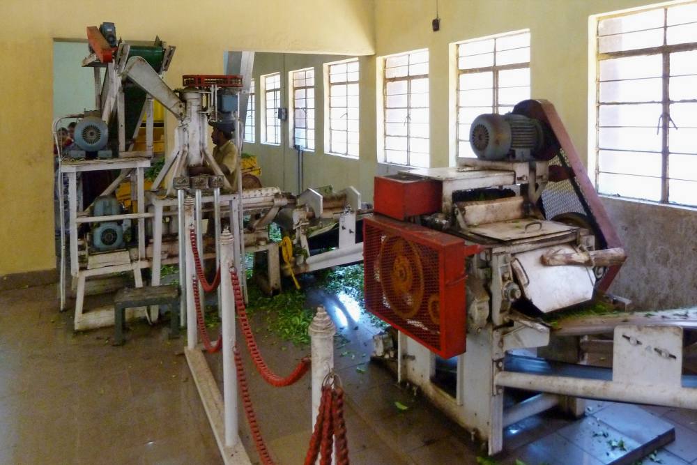 Tea Museum Munnar Tickets, timings, offers May 2025 | ExploreBees