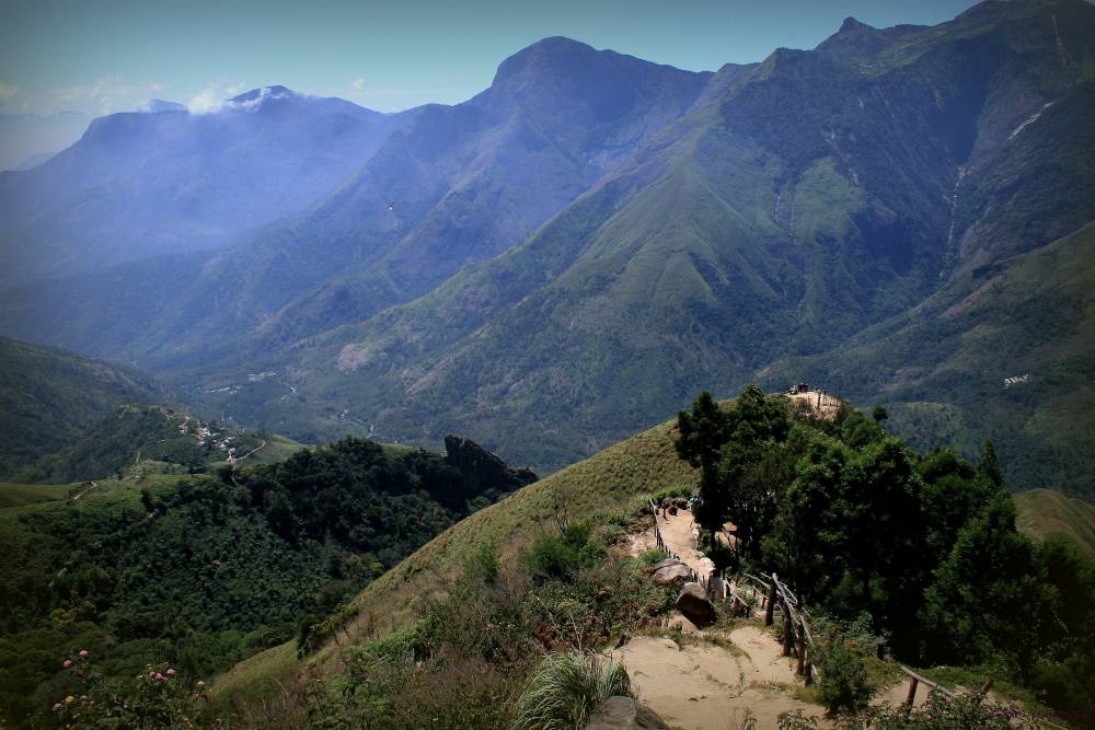 Top Station Munnar Tickets, timings, offers Mar 2025 | ExploreBees