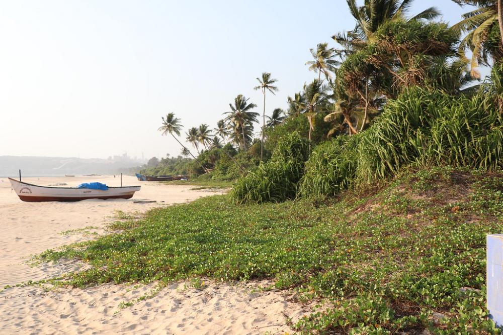 Velsao beach (December 2020) Timings,Tickets,reviews,Tips,Contact ...