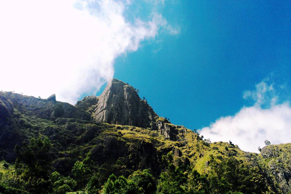 anamudi peak (February 2026) Timings,Tickets,reviews,Tips,Contact ...