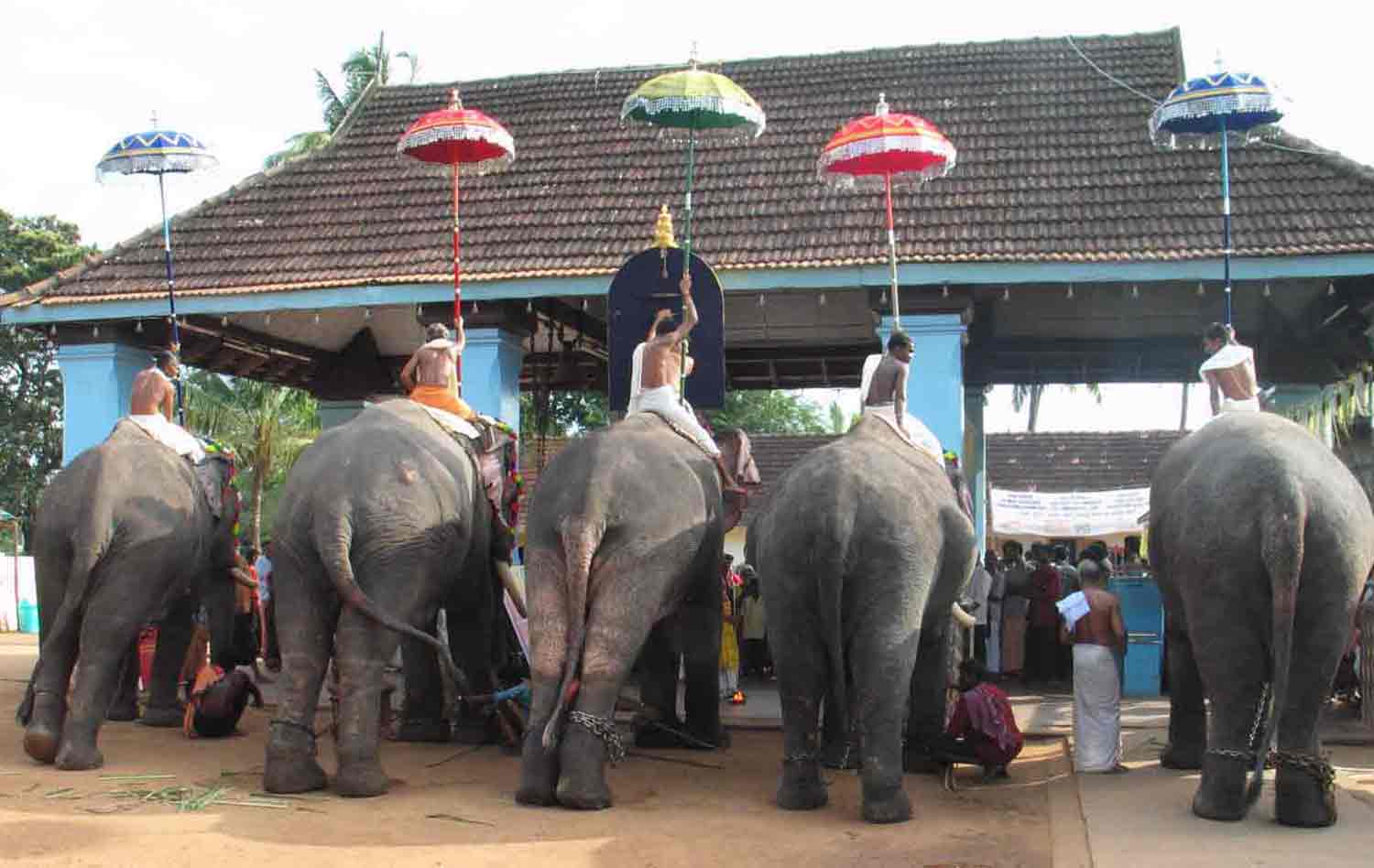 Chottanikkara Devi Temple (October 2025) Timings,Tickets,reviews,Tips ...