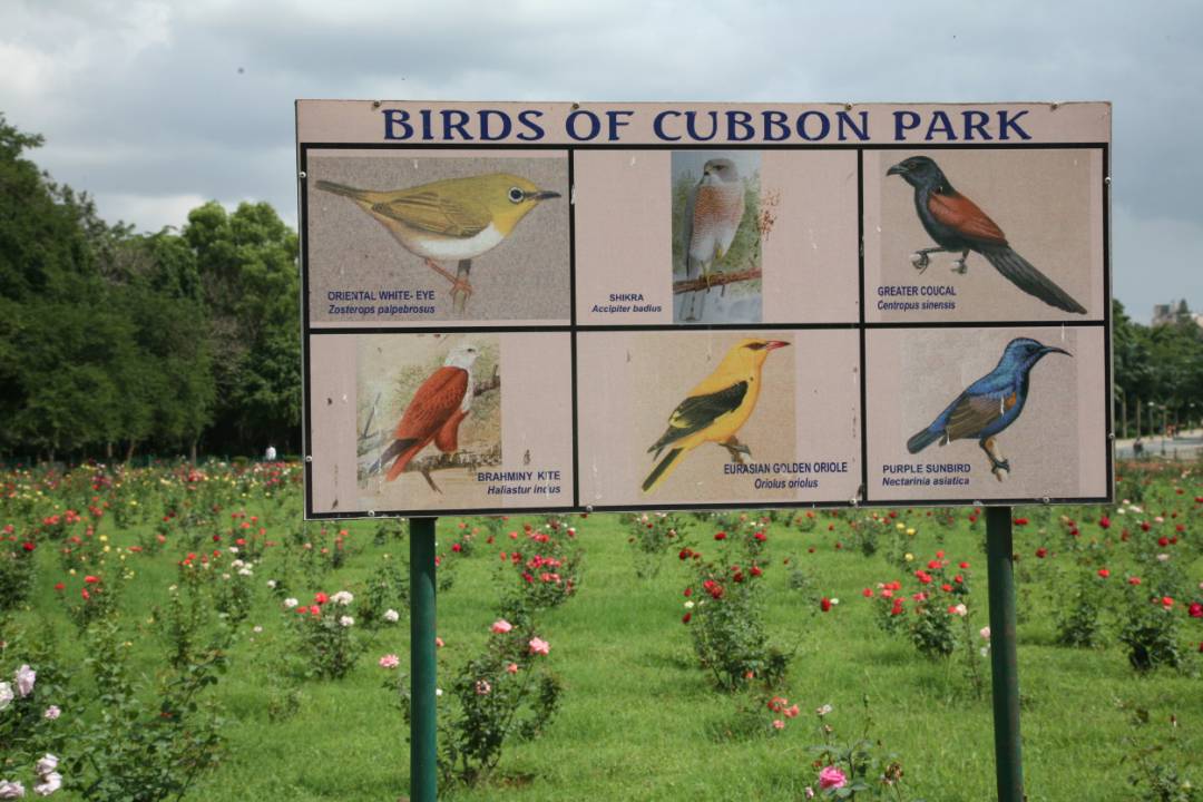 Cubbon Park (May 2023) Timings,Tickets,reviews,Tips,Contact number ...