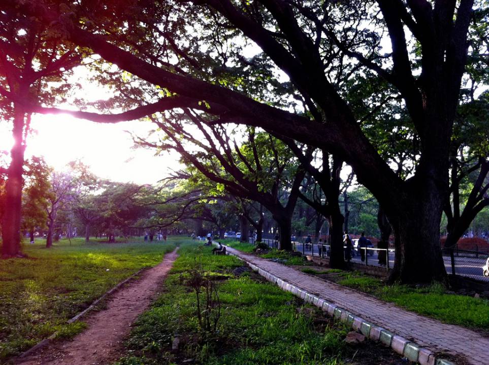 Cubbon Park (September 2021) Timings,Tickets,reviews,Tips,Contact ...