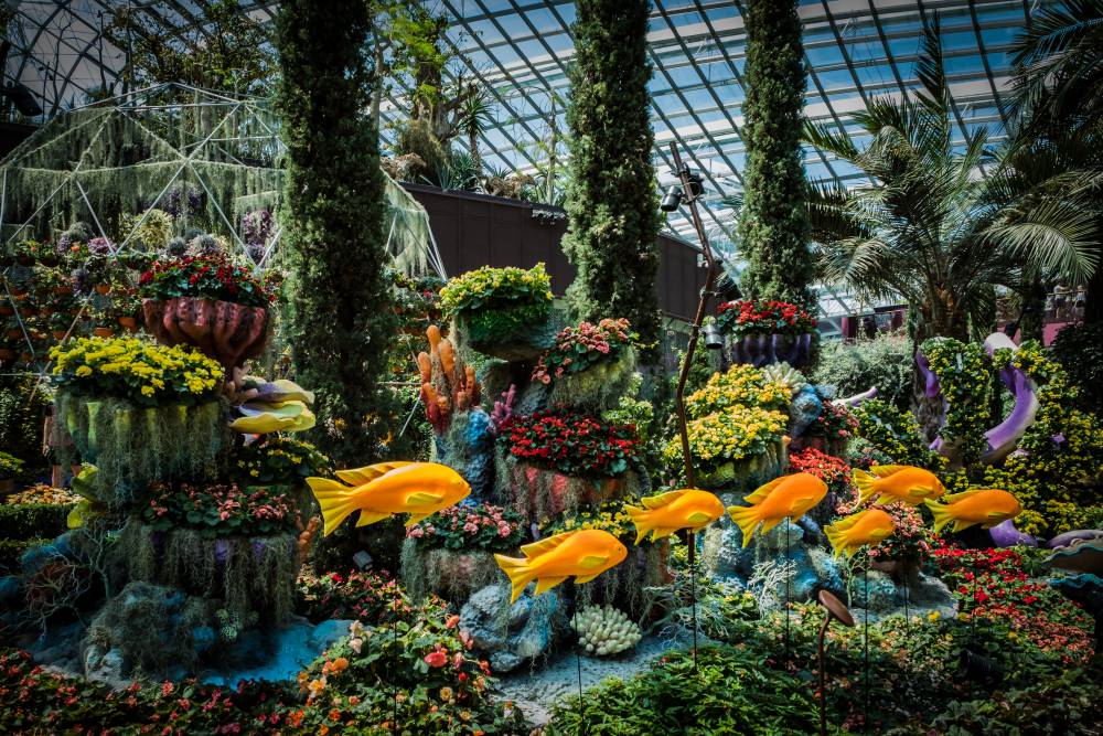 Flower Dome Singapore in Gardens by the Bay Singapore Tickets, timings ...