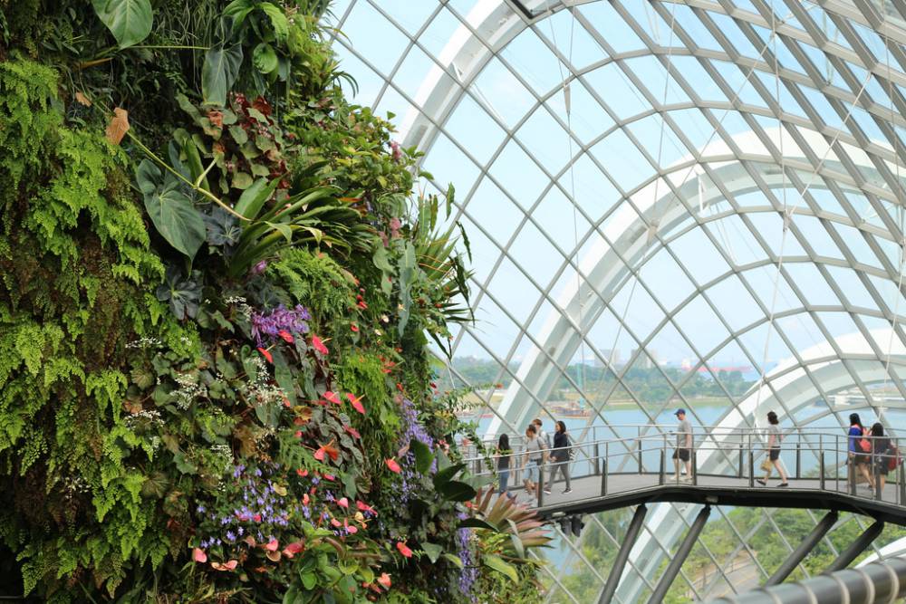 Flower Dome Singapore in Gardens by the Bay (August 2023) Timings ...