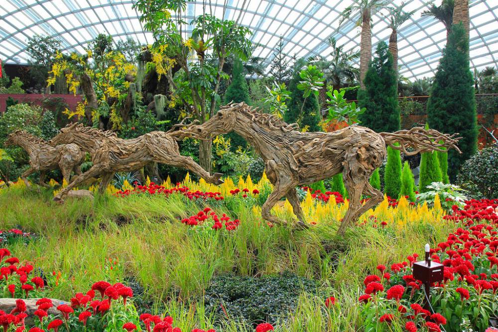 Flower Dome Singapore in Gardens by the Bay Singapore Tickets, timings ...