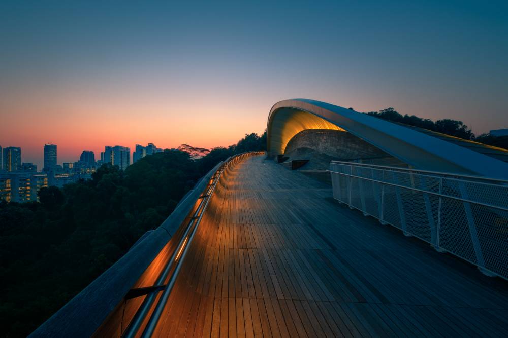 Henderson Waves - Bridge in Singapore Apr 2025 | ExploreBees