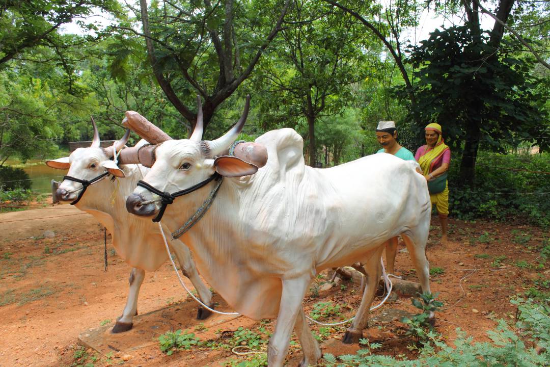 janapada loka (April 2025) Timings,Tickets,reviews,Tips,Contact number ...