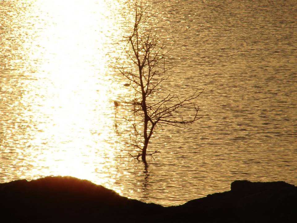 Kanva Reservoir Bengaluru Tickets, timings, offers Sep 2025 | ExploreBees