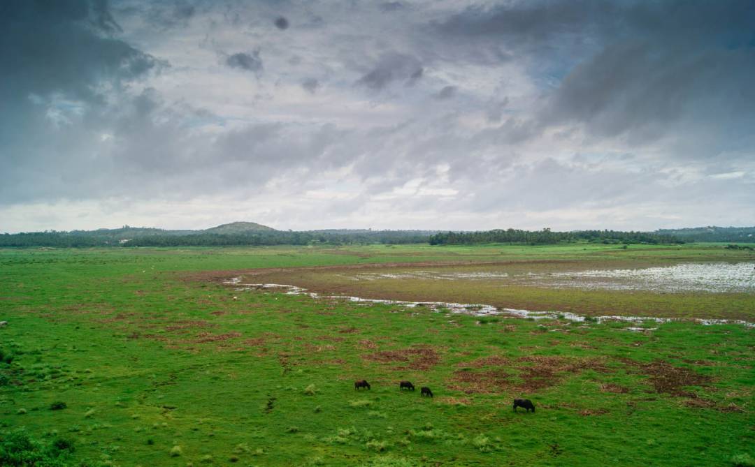 Kanva Reservoir (July 2024) Timings,Tickets,reviews,Tips,Contact number ...