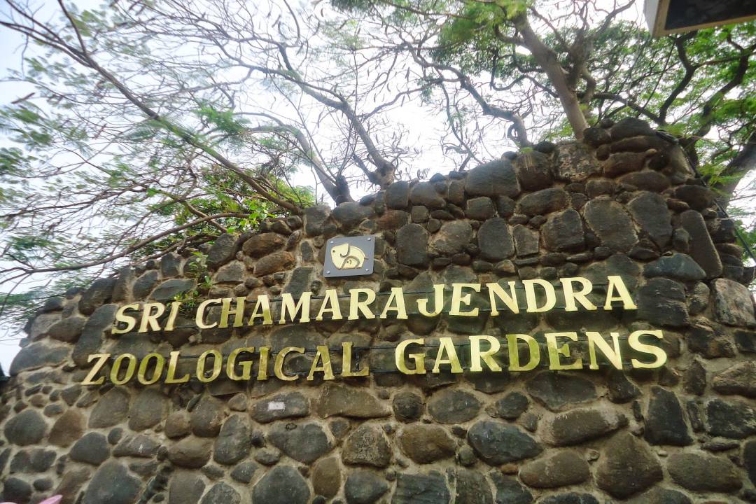 Mysore Zoo Mysuru Tickets, timings, offers Dec 2025 | ExploreBees