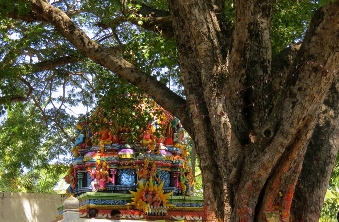 Nimishambha Temple Srirangapatna - Spiritual in Mysuru Mar 2026 ...