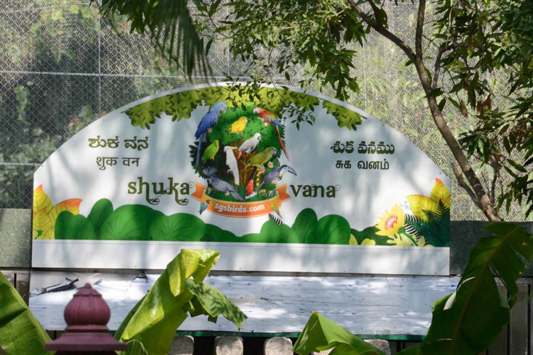 Shuka Vana (October 2025) Timings,Tickets,reviews,Tips,Contact number ...