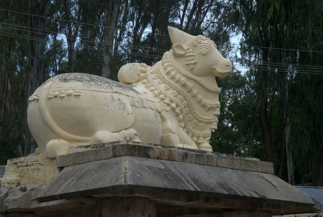 talakadu (May 2026) Timings,Tickets,reviews,Tips,Contact number ...