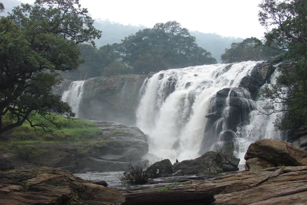 Things to do in Munnar - Updated November 2024 (with Photos & Reviews ...