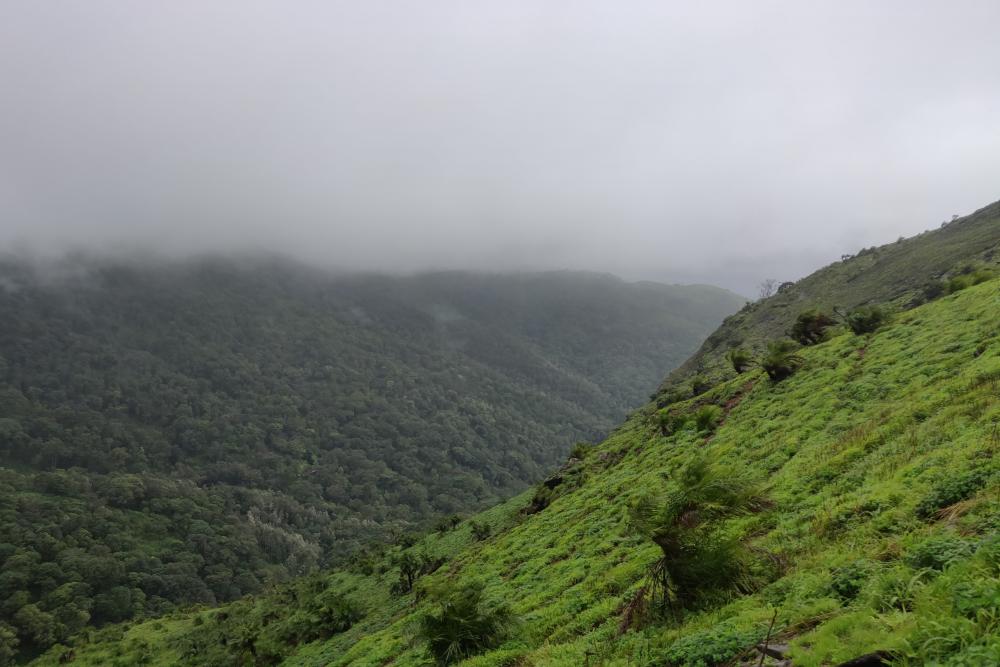 Z Point (October 2025) Timings,Tickets,reviews,Tips,Contact number ...